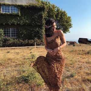 PHOTO: Kylie Jenner Stuns In A Tiger Print Dress - YellowDanfo