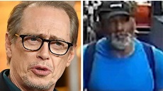 Steve Buscemi Alleged Attacker Arrested - YellowDanfo